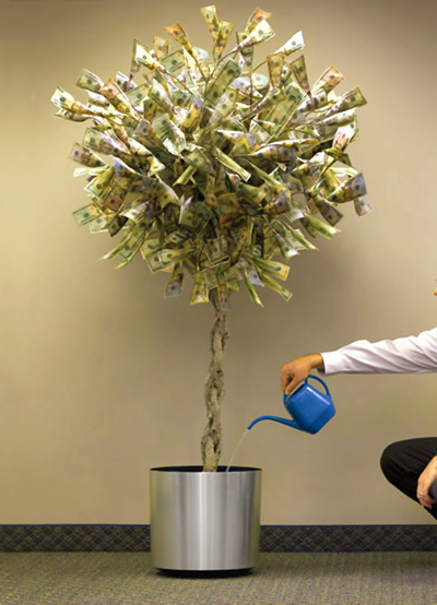 The Savings Budget - Christofi & Company, Inc.